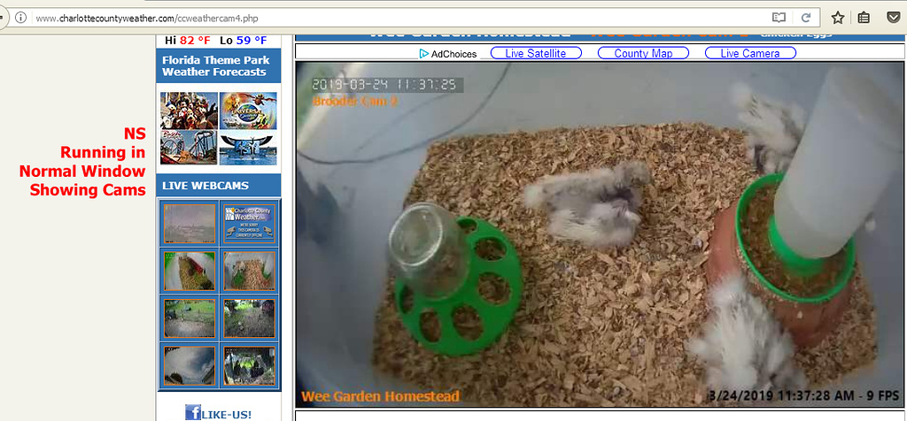 FPS on Website or Remote - Problems & Bugs - Moonware Studios