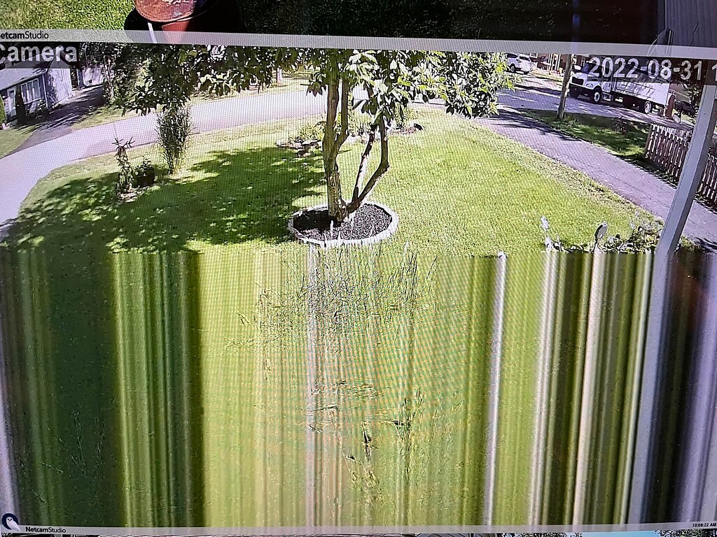 Bad image quality - Problems & Bugs - Moonware Studios